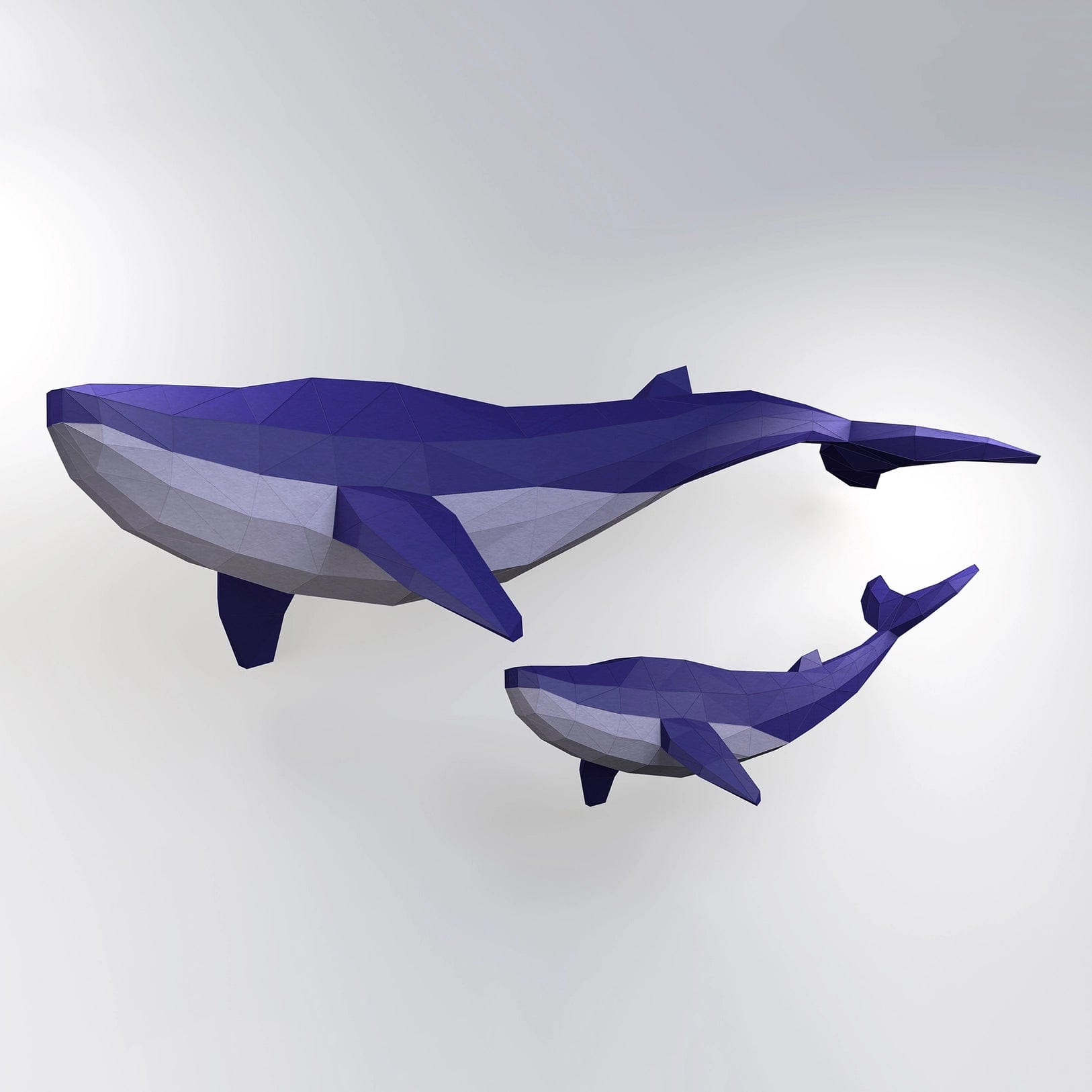 Papercraft World 3D Model Kit - Whales – Fiddlehead Artisan Supply